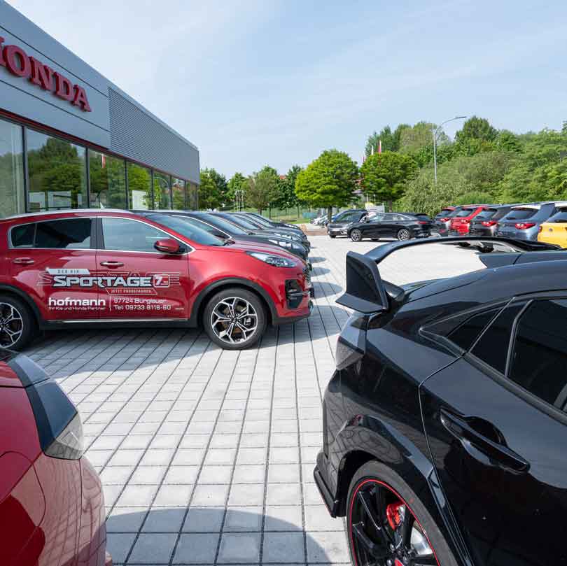Honda Hofmann Burglauer